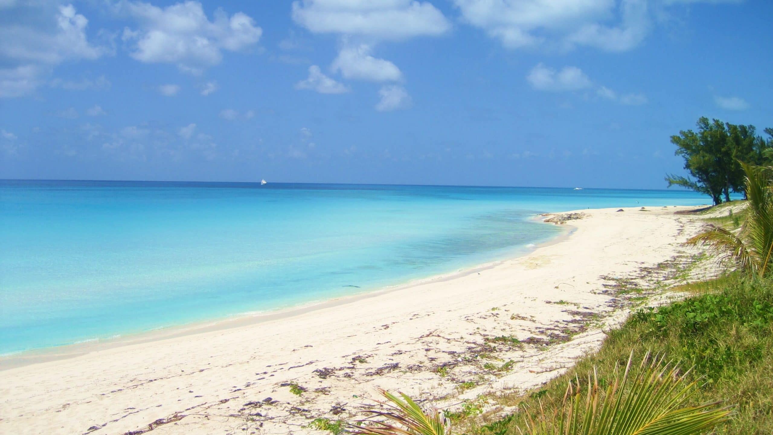 Bimini, The Private Island Escape Is Just a Boat Ride Away