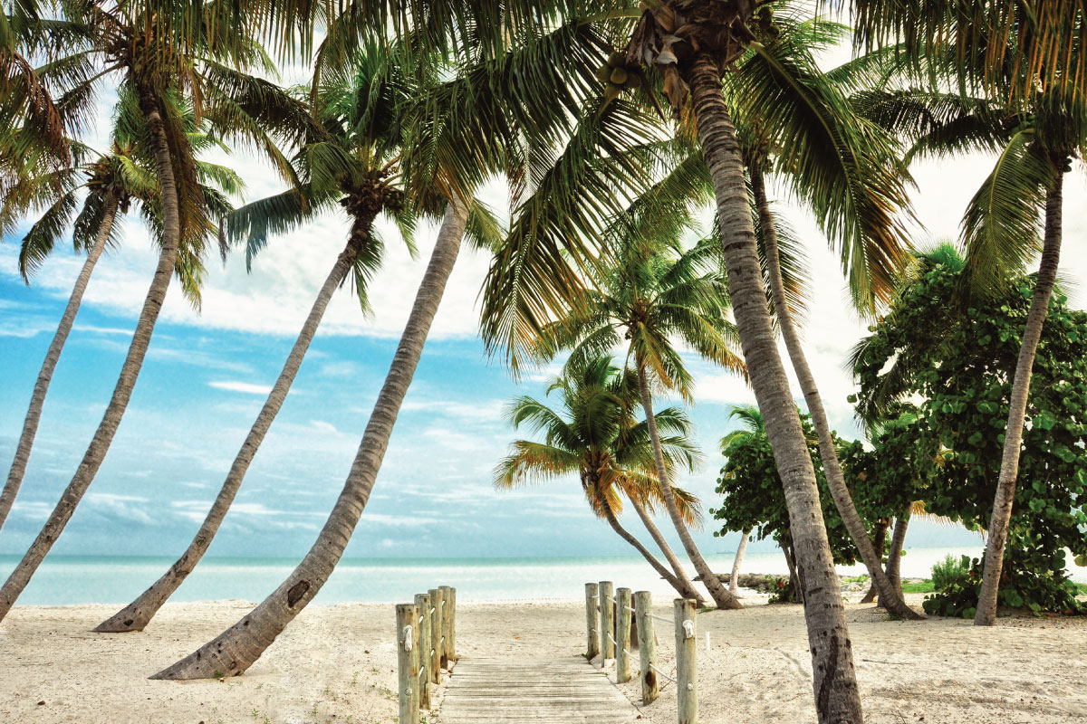 7 Top Beaches in the Florida Keys | Boatsetter