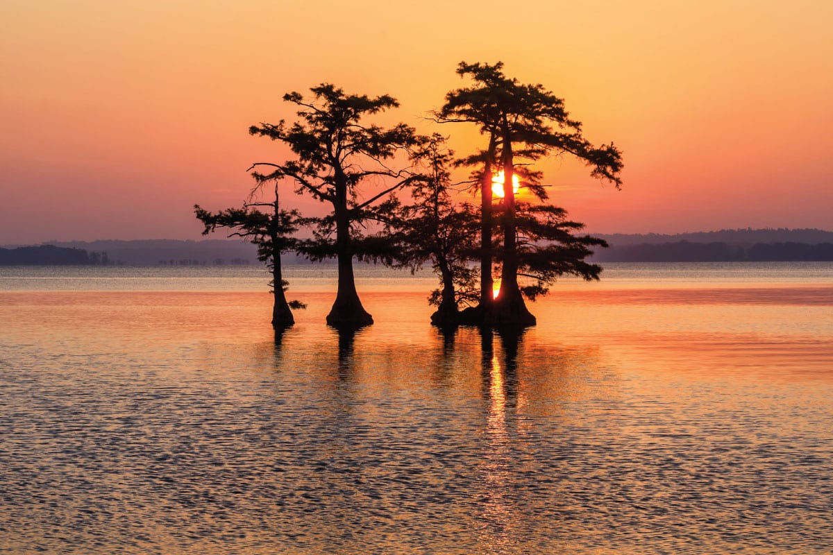 5 Best Lakes in Tennessee for Boating | Boatsetter