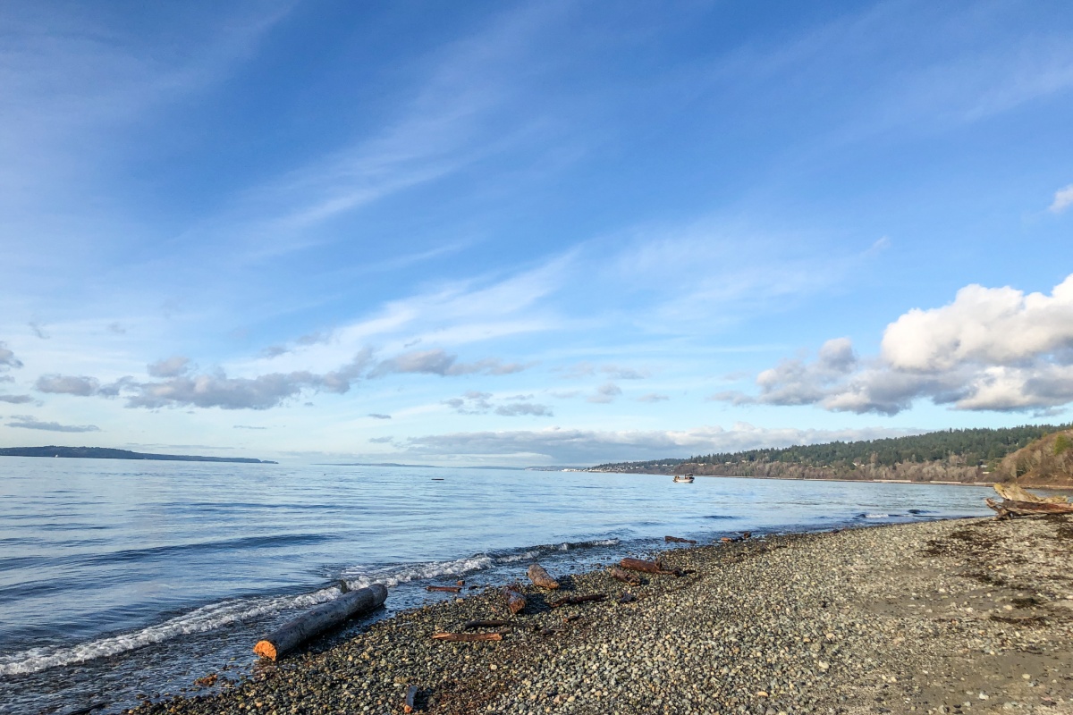 Best Beaches in Seattle: Exploring the Pacific Northwest