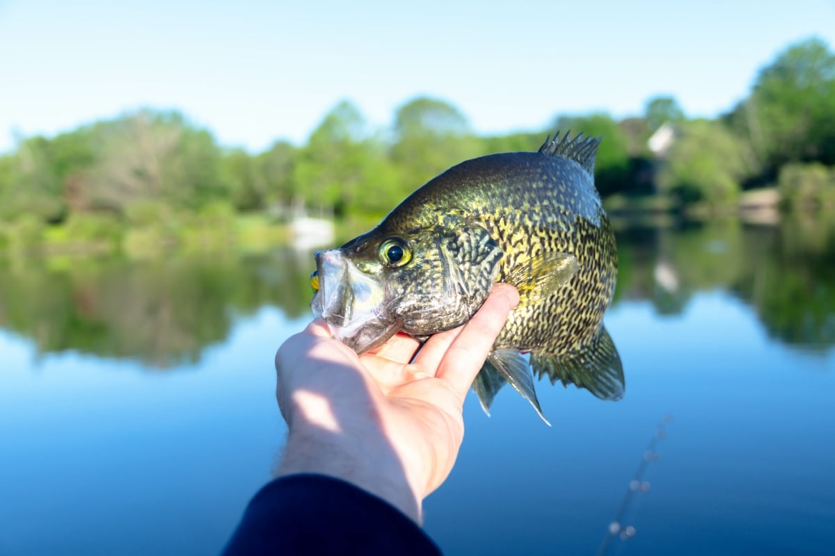 Best Fishing Spots Around San Antonio: A Guide for Anglers
