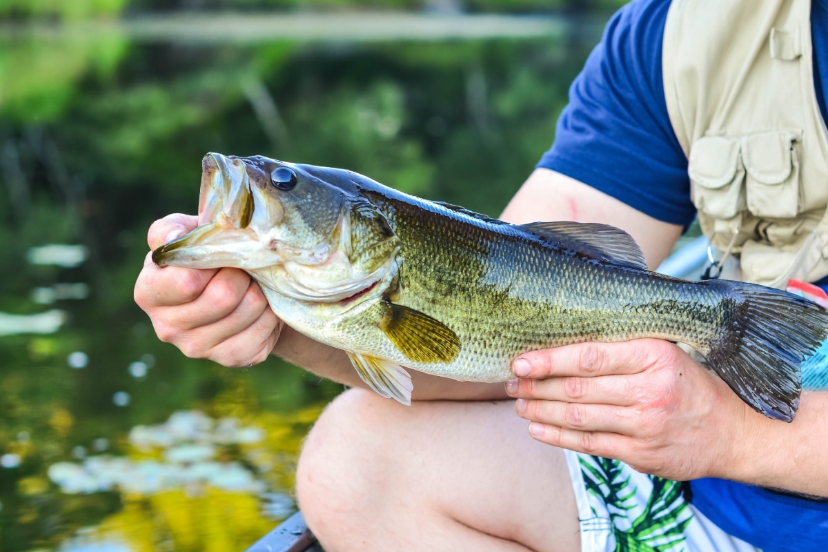 Discover the Best Fishing Spots in Dallas