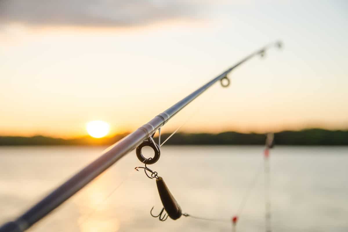 Lady Bird Lake Fishing Guide: Everything You Need to Know