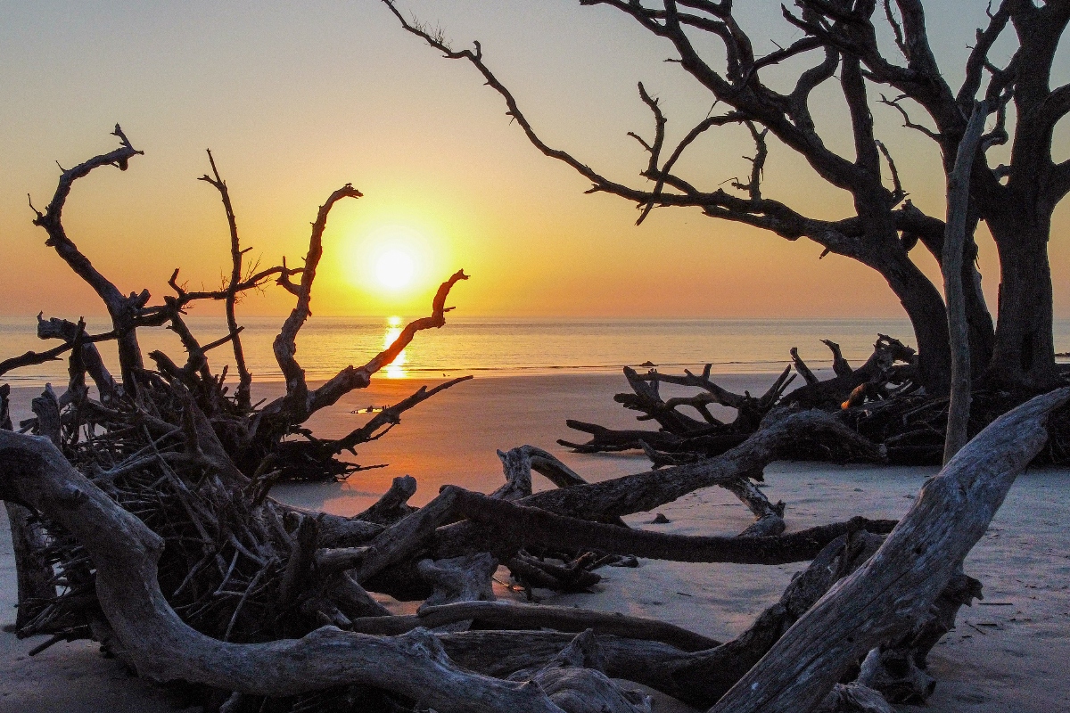 [2025] Best U.S. Beaches to visit this October