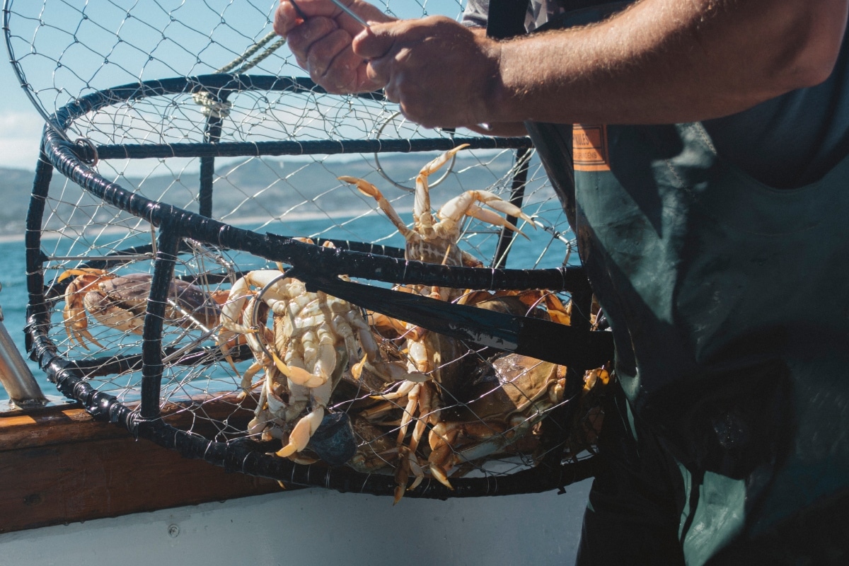 Best Places in the U.S. to go Crabbing